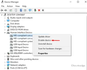How to Enable or Disable Touchscreen in Windows 10 - Howtoedge