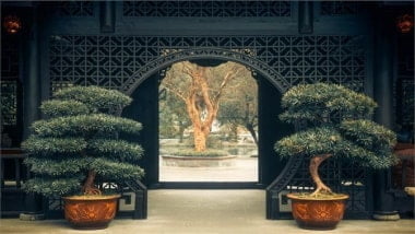 [Download] Beauty of China PREMIUM Windows 10 Theme - Howtoedge