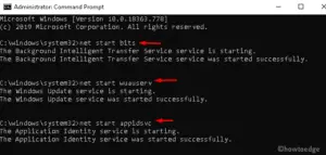 How to fix Update error 0x8007000d in Windows 11/10