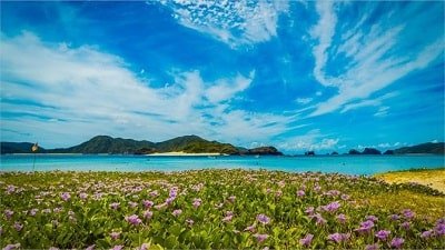 [Download] Japanese Islands PREMIUM Windows 10 Theme