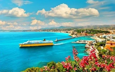 Rare Collection of 50 Windows 11 Official Themes