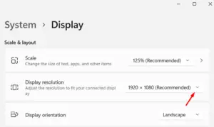 How to Fix Zoom Black Screen Issue on Windows 11/10