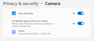 [Solved] Zoom Camera is Not Working on Windows 11/10