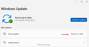 How to Disable Windows 11 Automatic Updates - Howtoedge