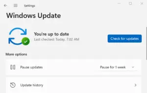 How to Fix Runtime Error in Windows 11