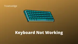 [Solved] Keyboard Not Working in Windows 11/10