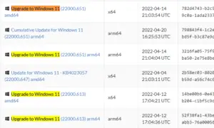 How to Download and Install Windows 11 ARM with ISO