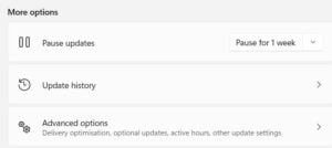 How to Fix Update Error 0x800B0003 in Windows