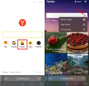 How to Reverse Image Search on iPhone